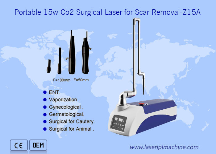 Portable 10600nm CO2 Surgical Laser Skin Scar Removal Machine For Pets