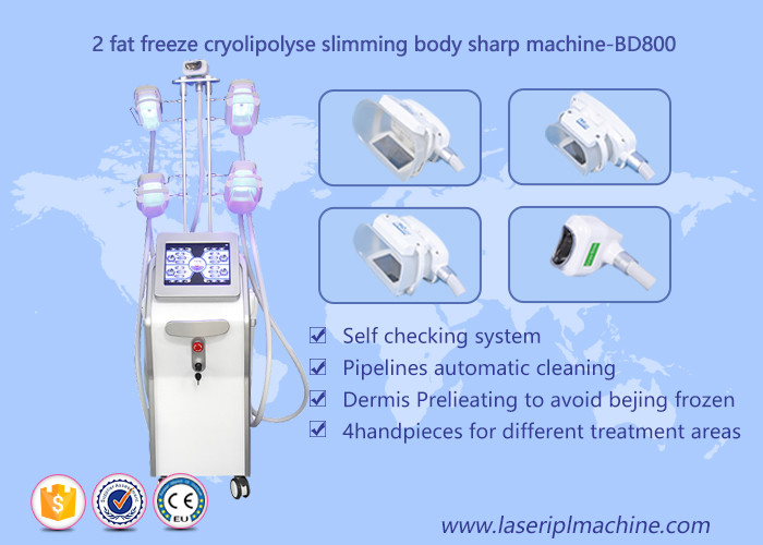 Shape Body Cryolipolysis Slimming Machine , Lipo Cryo Cryolipolysis ...